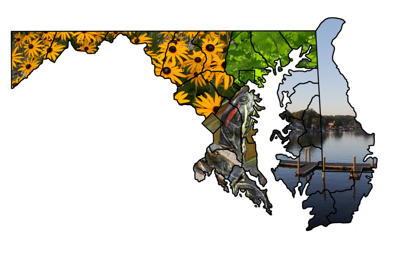 Regions | Maryland Destination Imagination